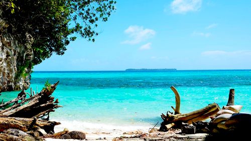 Palau Digital Residency – O documento perfeito para nômades digitais ...