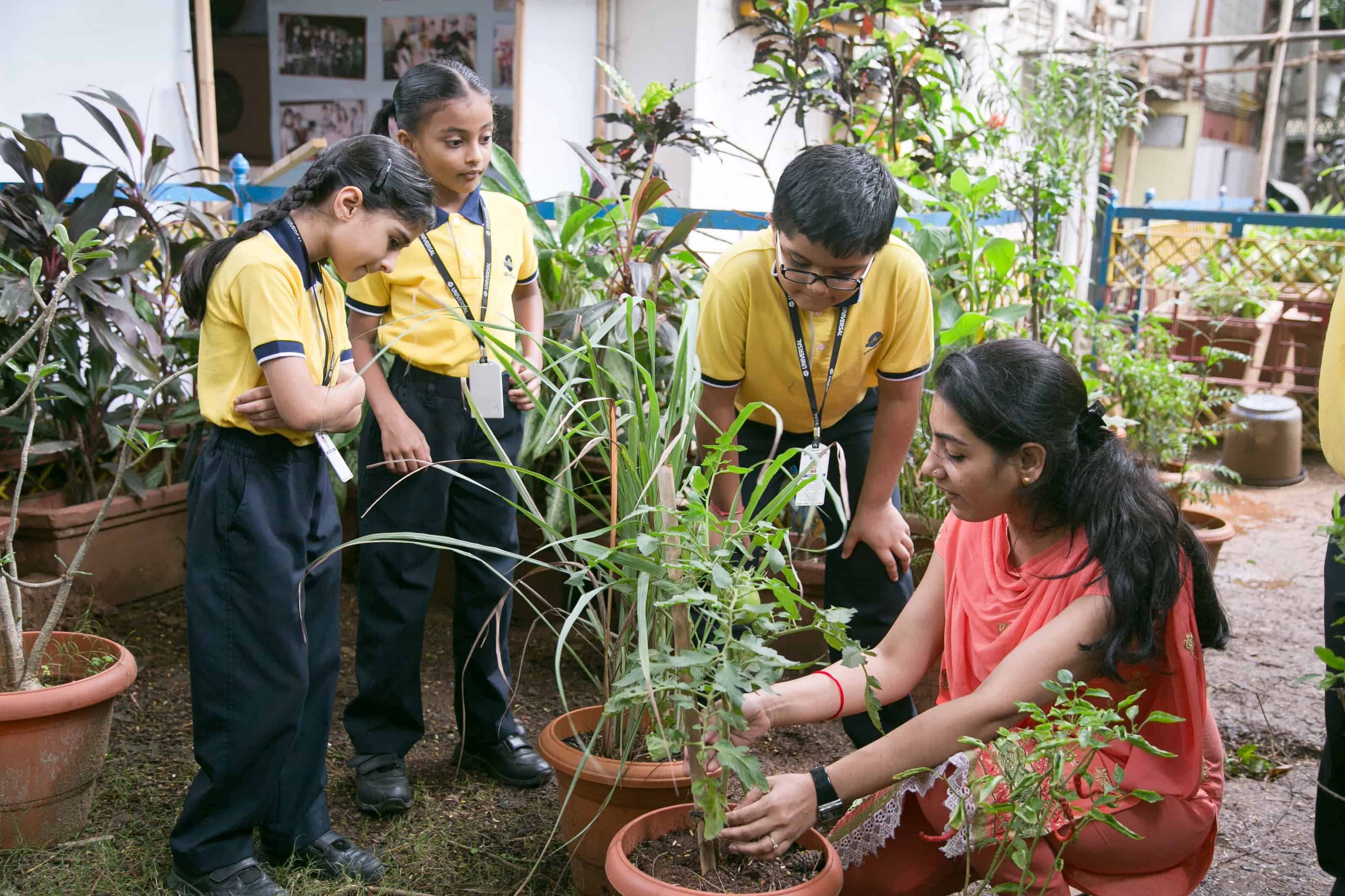 The Universal School • a Universal Education institute