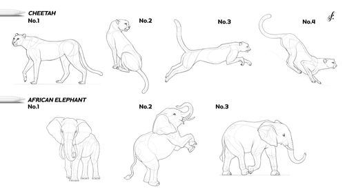 Procreate Animal Brushes 🦌 - Draw Wild Animal Outlines in Procreate ...