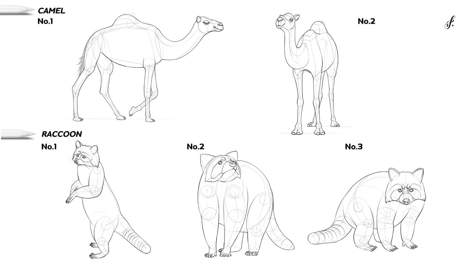 Procreate Animal Brushes 🦌 - Draw Wild Animal Outlines in Procreate ...