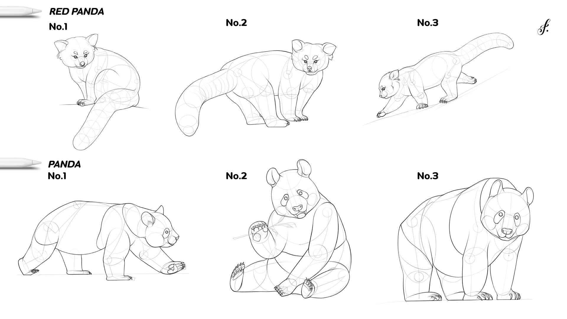 Procreate Animal Brushes 🦌 - Draw Wild Animal Outlines in Procreate ...