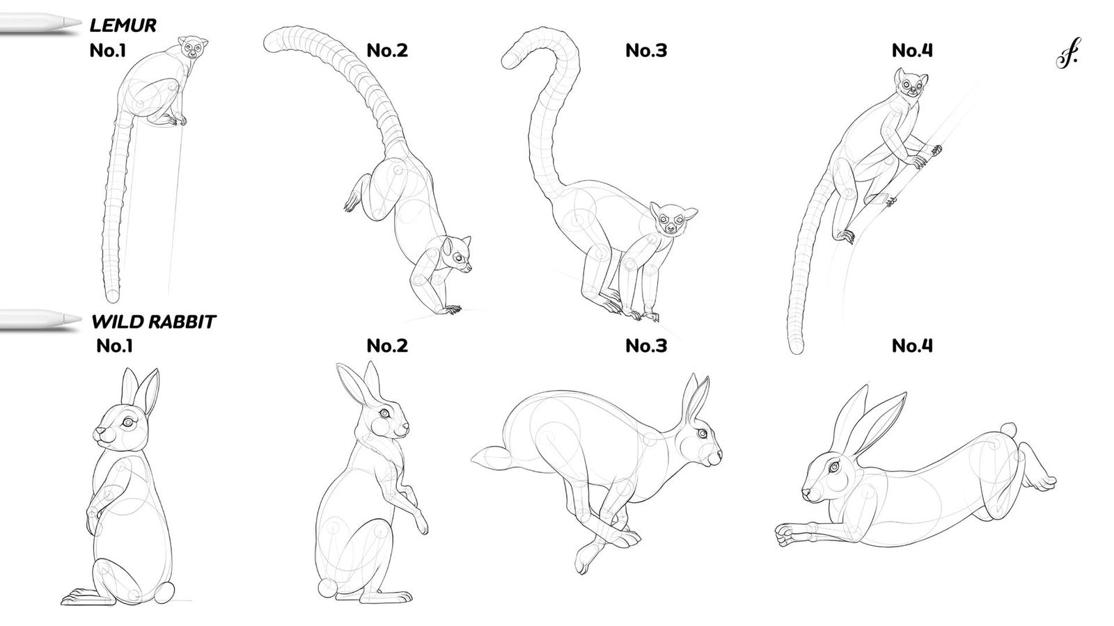 Procreate Animal Brushes 🦌 - Draw Wild Animal Outlines in Procreate ...