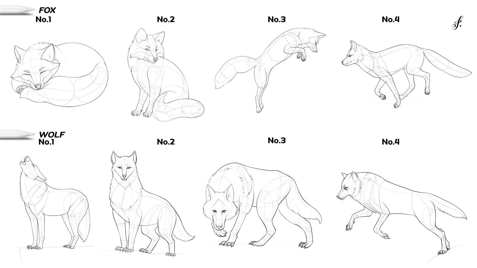 Procreate Animal Brushes 🦌 - Draw Wild Animal Outlines in Procreate ...