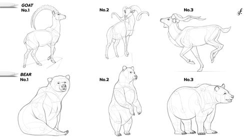 Procreate Animal Brushes 🦌 - Draw Wild Animal Outlines in Procreate ...