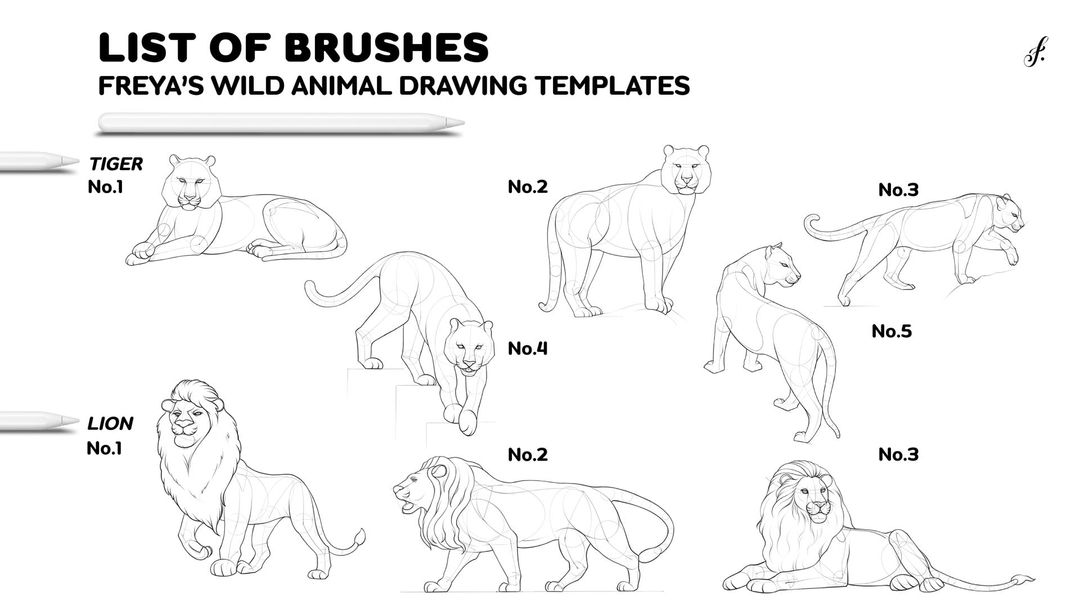 Procreate Animal Brushes 🦌 - Draw Wild Animal Outlines in Procreate ...
