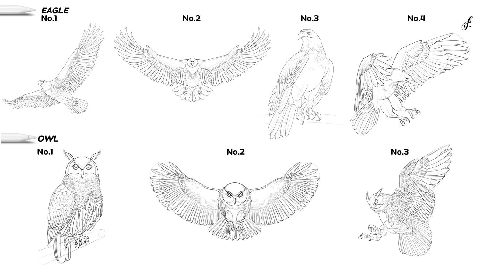 Procreate Animal Brushes 🦌 - Draw Wild Animal Outlines in Procreate ...