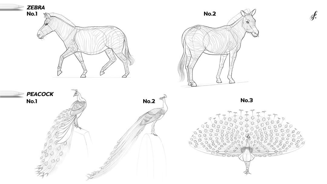 Procreate Animal Brushes 🦌 - Draw Wild Animal Outlines in Procreate ...