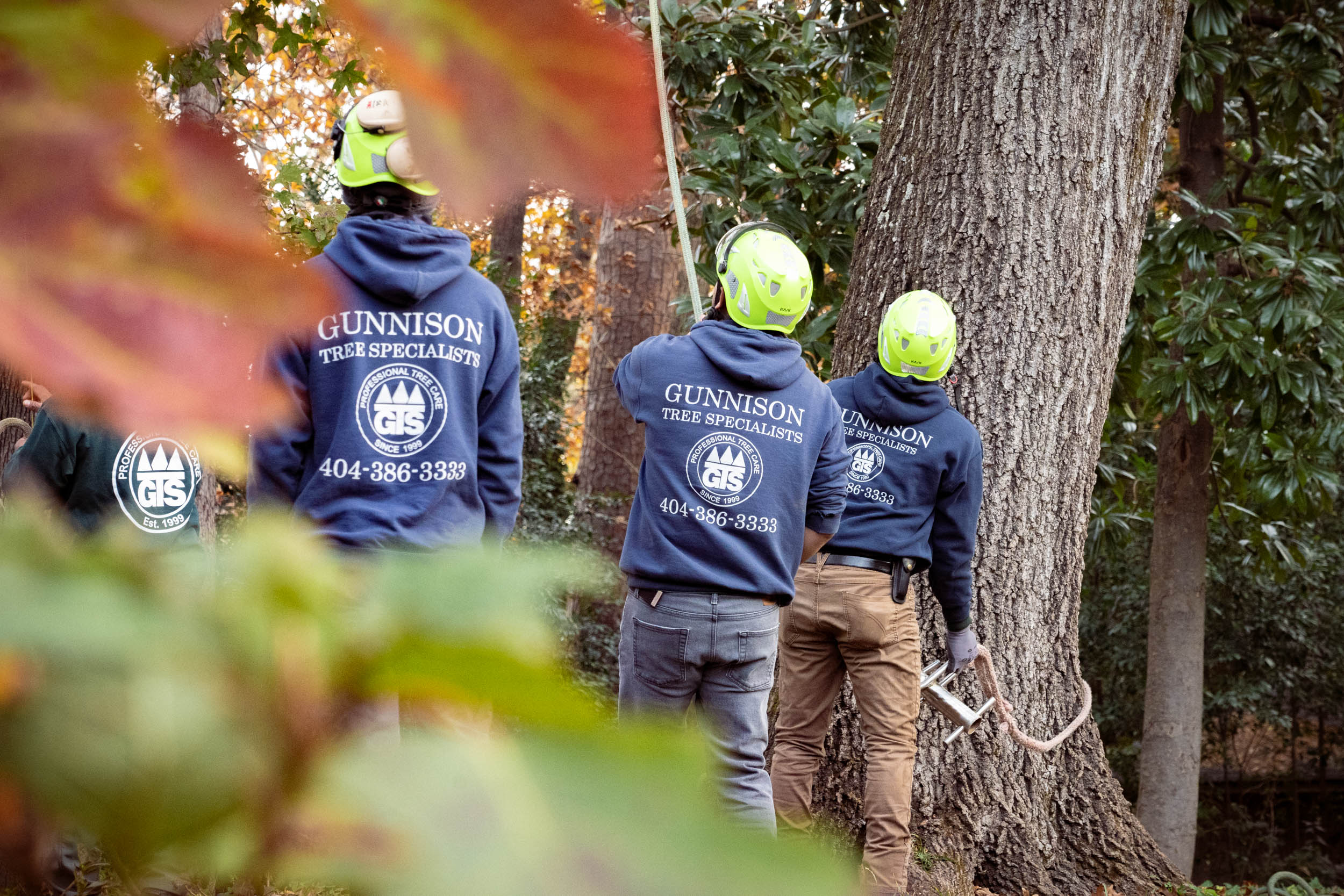 About Gunnison Tree Services - Located in Atlanta, Georgia
