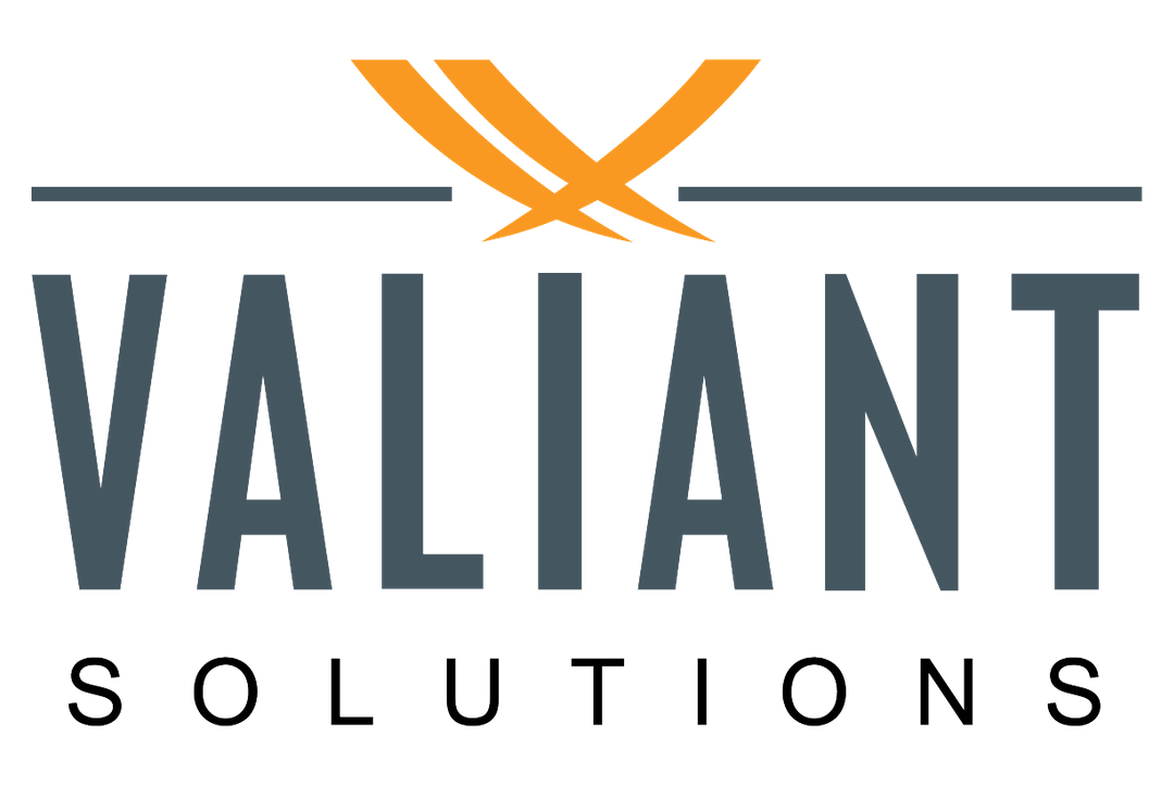 Valiant Solutions Marks 20 Years of Excellence with Strategic ...