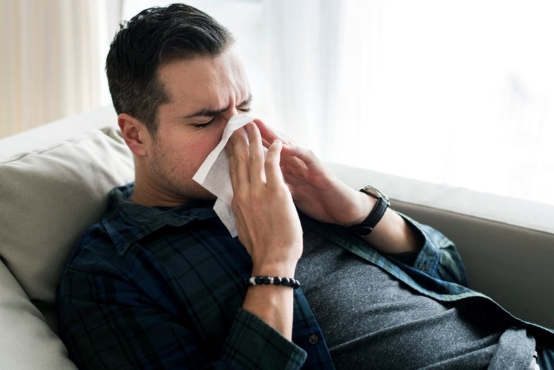 Six Weird Allergens on Earth - American Sinus Institute - American ...