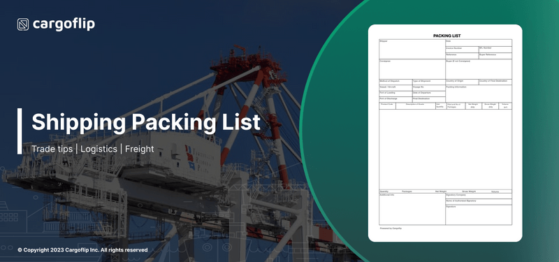 LCL Shipping 101: Complete Guide to LCL Freight Shipping