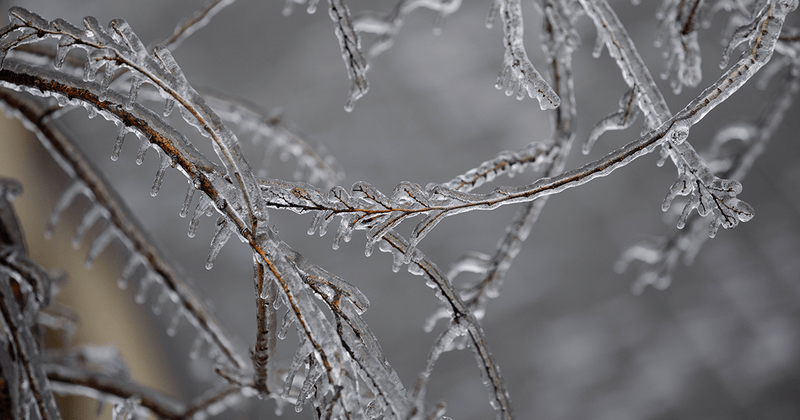 January Winter Weather