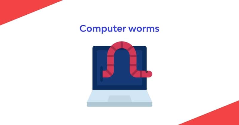 What is a Computer Worm ? Definition and Examples