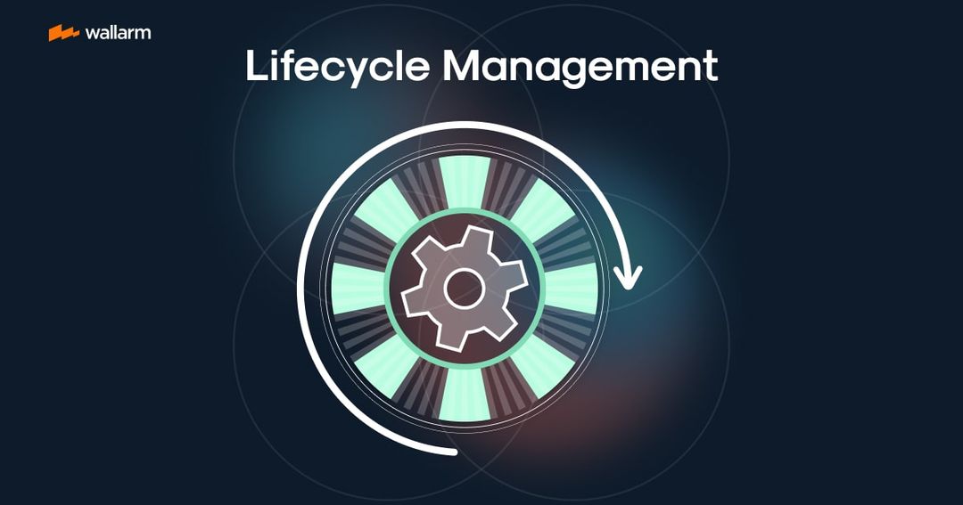 Lifecycle Management Simplified: A Comprehensive Whitepaper