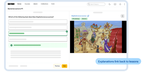 Sketchy | The Unforgettable Learning Platform For Future Clinicians