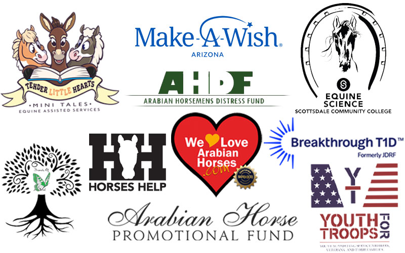 The Arabian Horse Association of Arizona (AHAA) Board of Directors is ...