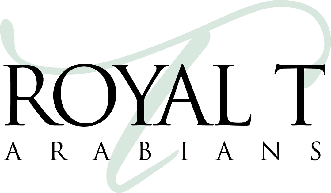 2025 Scottsdale Arabian Horse Show Program