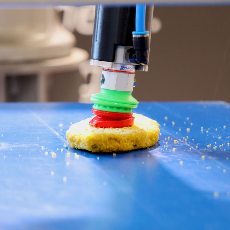 Specialist in Food Automation Systems | QING