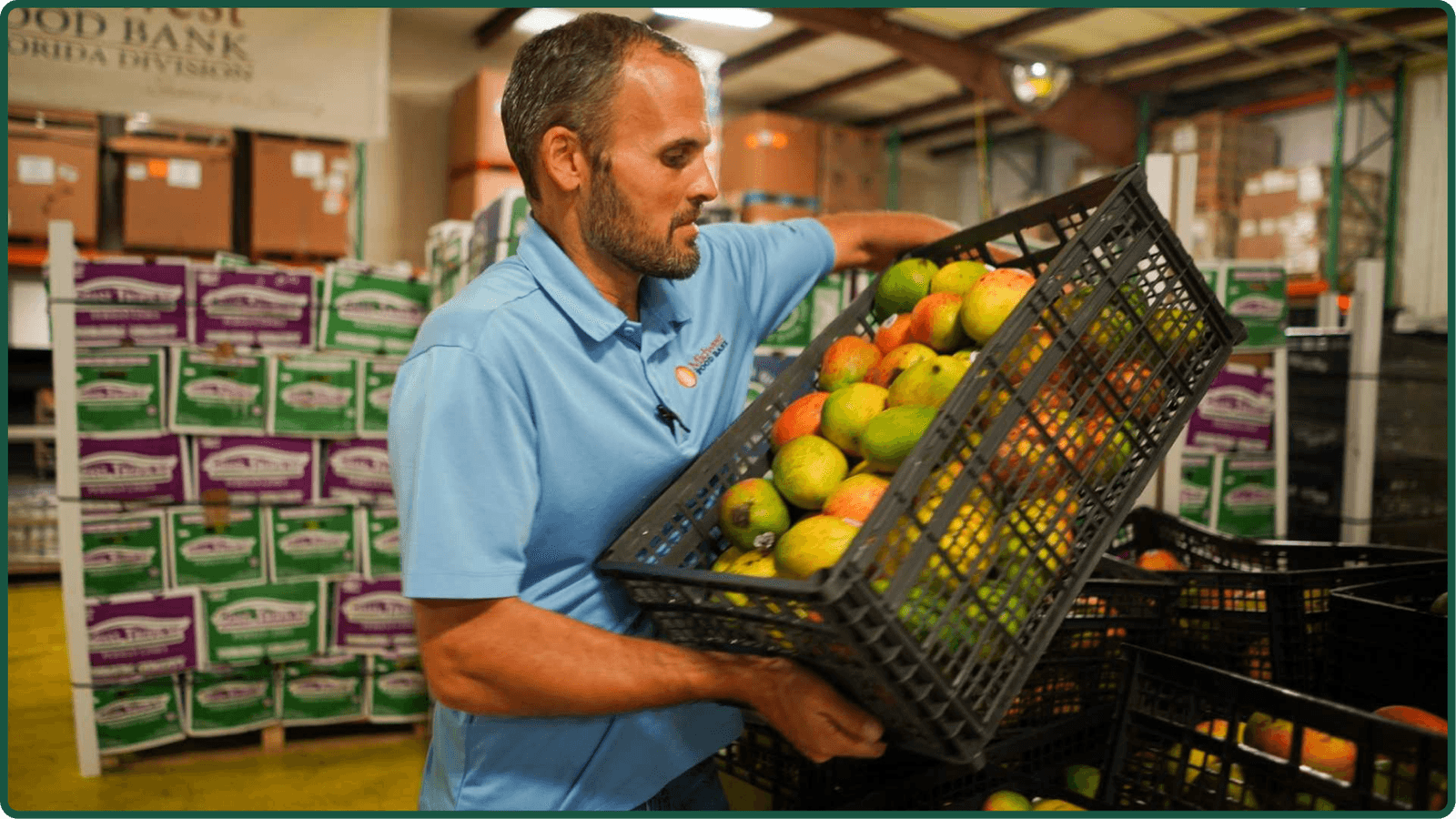 Cheese Caves and Food Surpluses: Why the U.S. Government currently ...