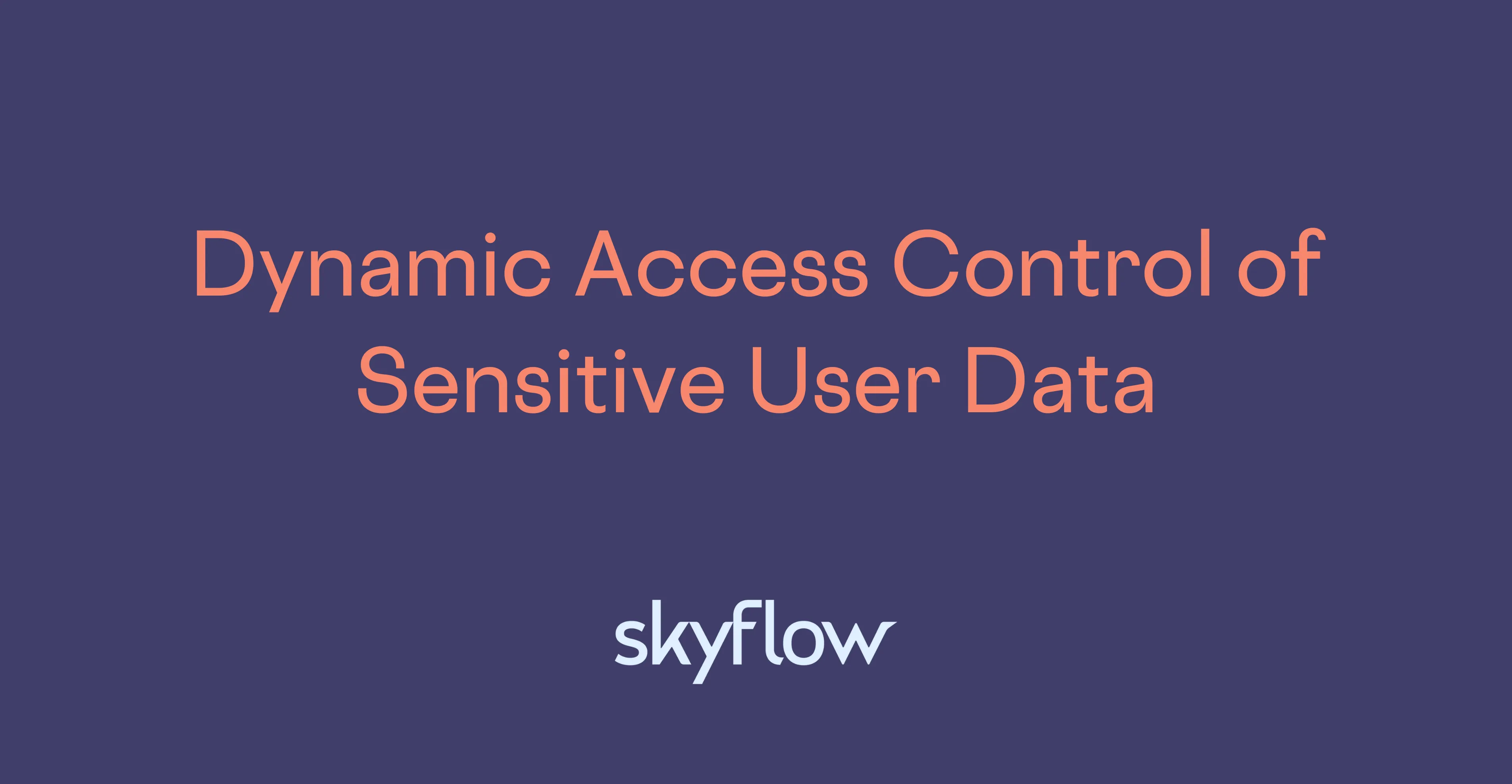 Dynamic Access Control of Sensitive User Data - Skyflow