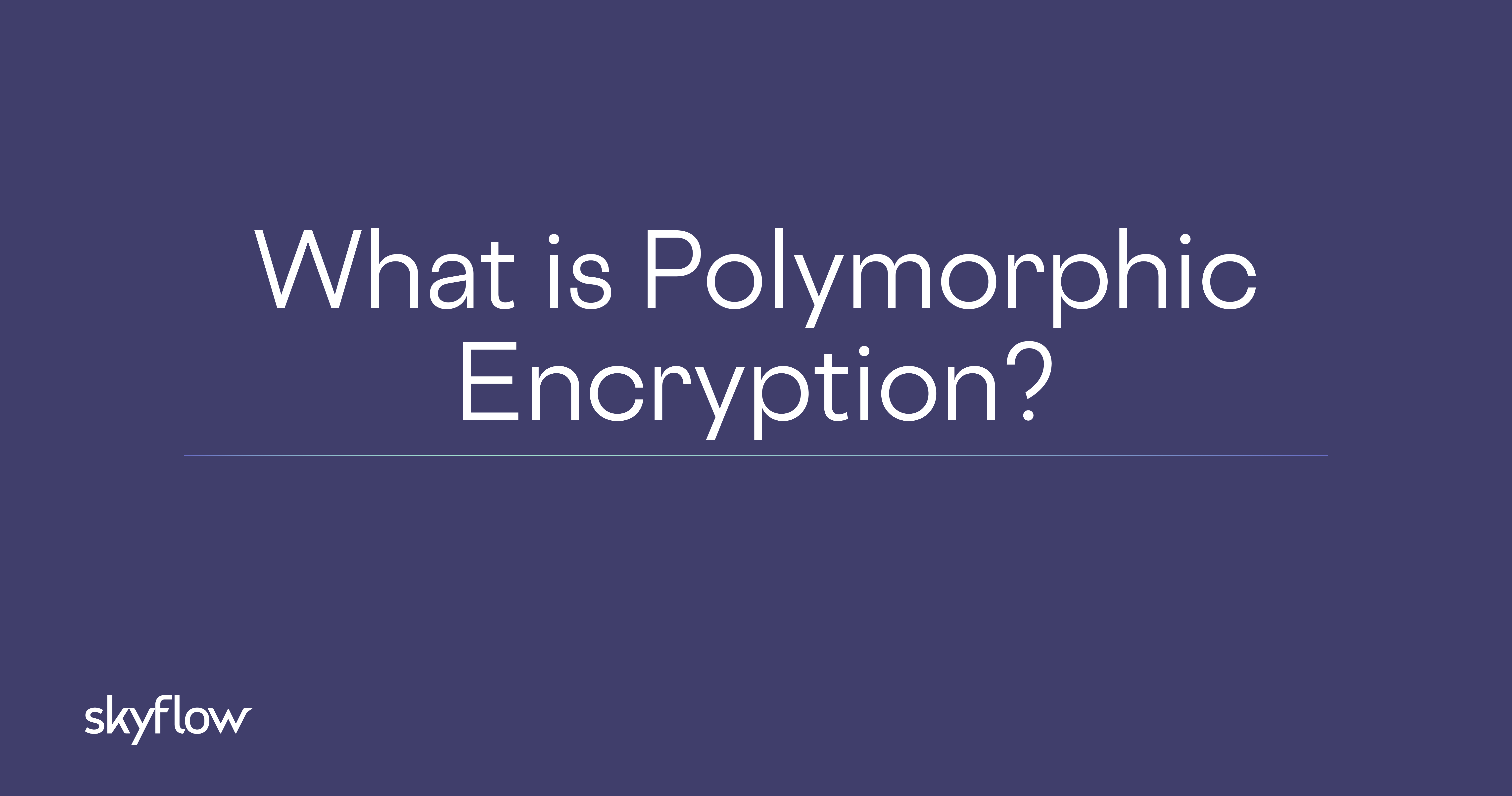 What is Polymorphic Encryption? - Skyflow