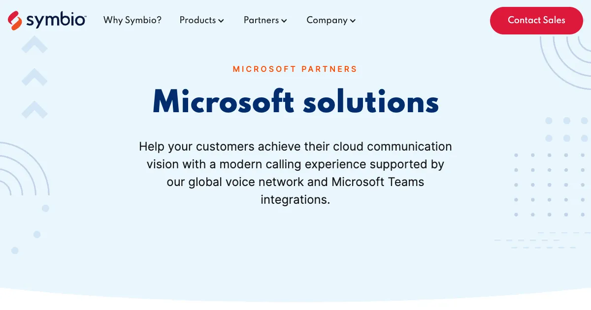 Microsoft Partner Services