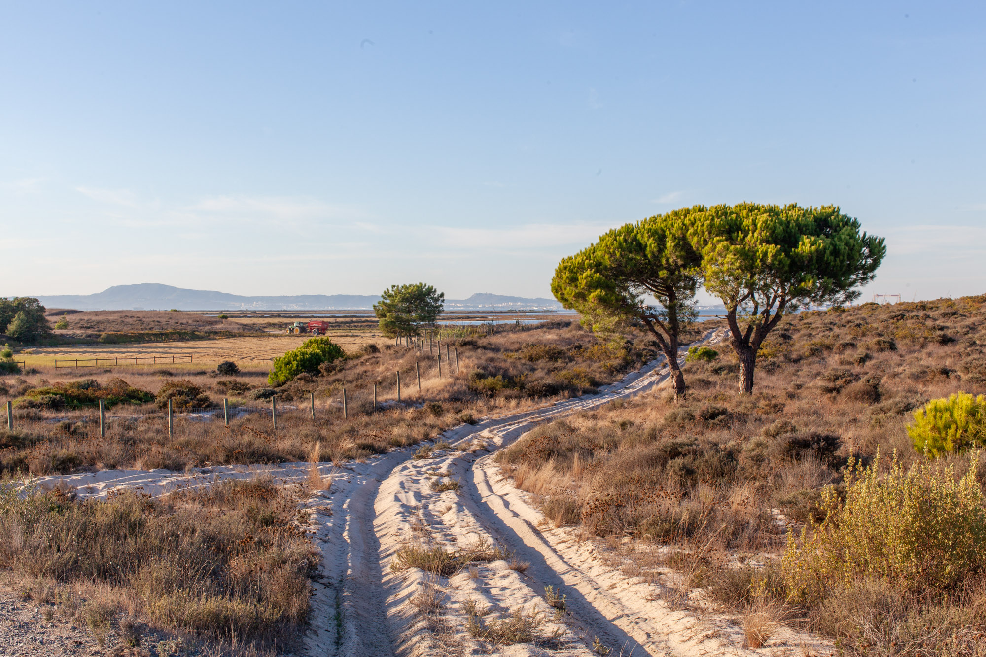 The Best of Comporta in Portugal + Insider Guide by JO&SO