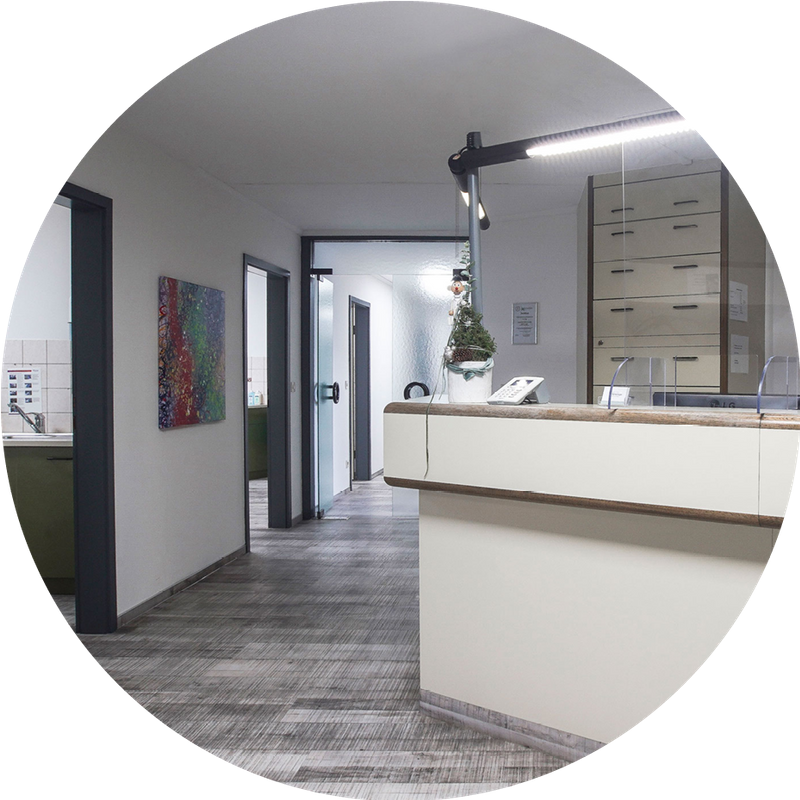 Dr. Scheringer – Eine weitere WordPress-Website