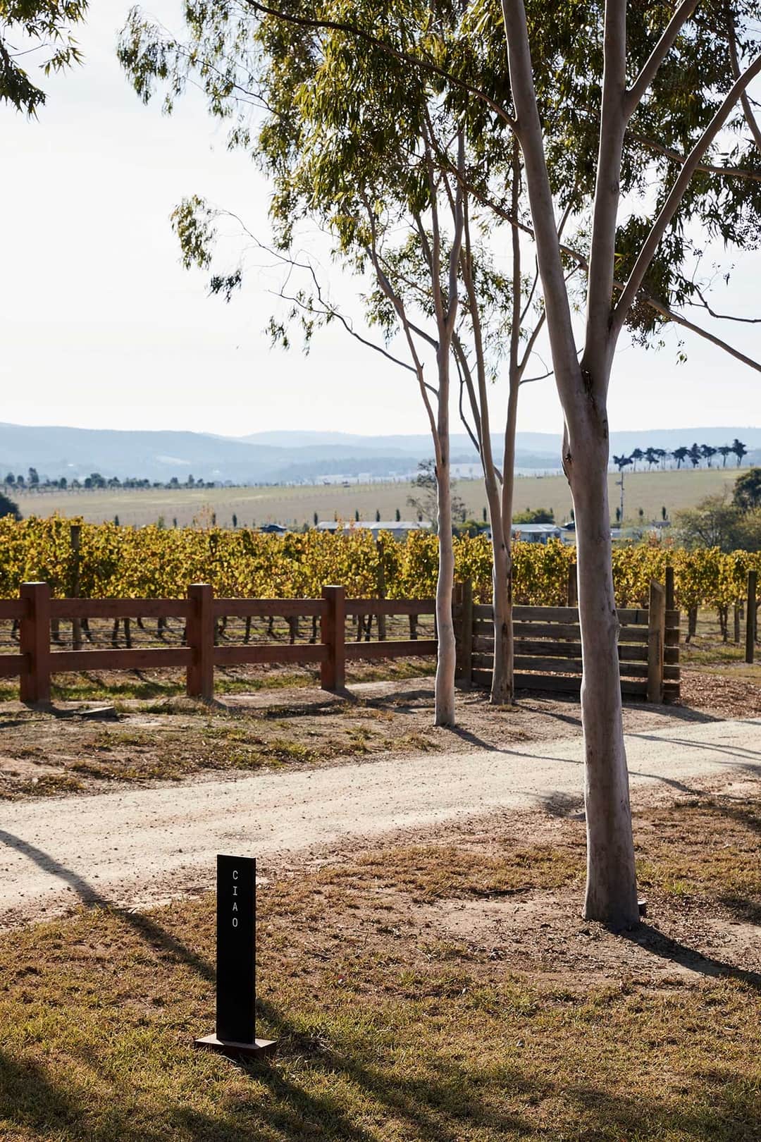 Zonzo—A Yarra Valley Winery, Restaurant & Wedding Venue