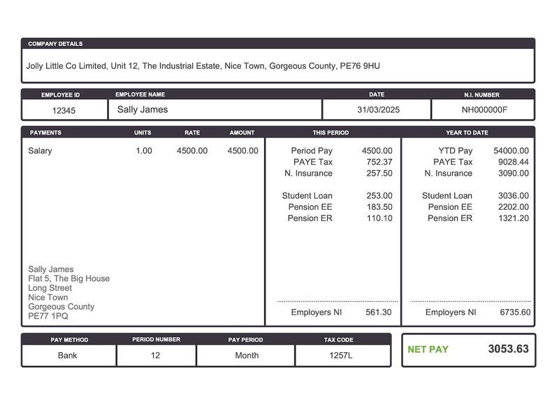 Payslip Errors | What To Do If Your Pay or Tax Looks Wrong | Try a Free ...
