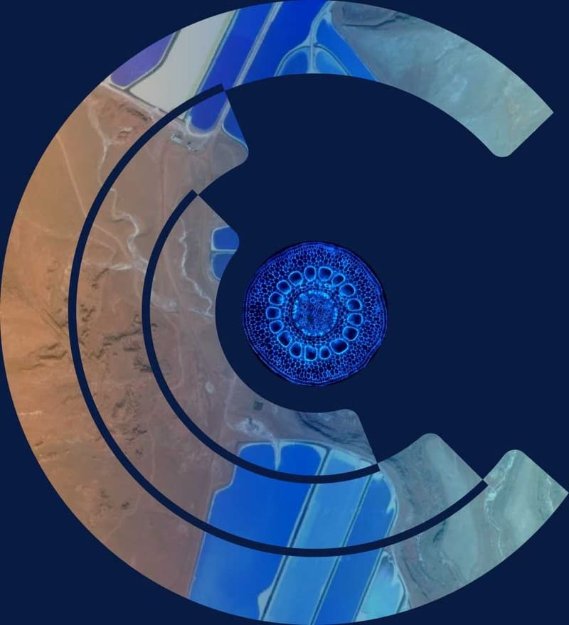 Cambrian Bio | Catalyzing breakthroughs