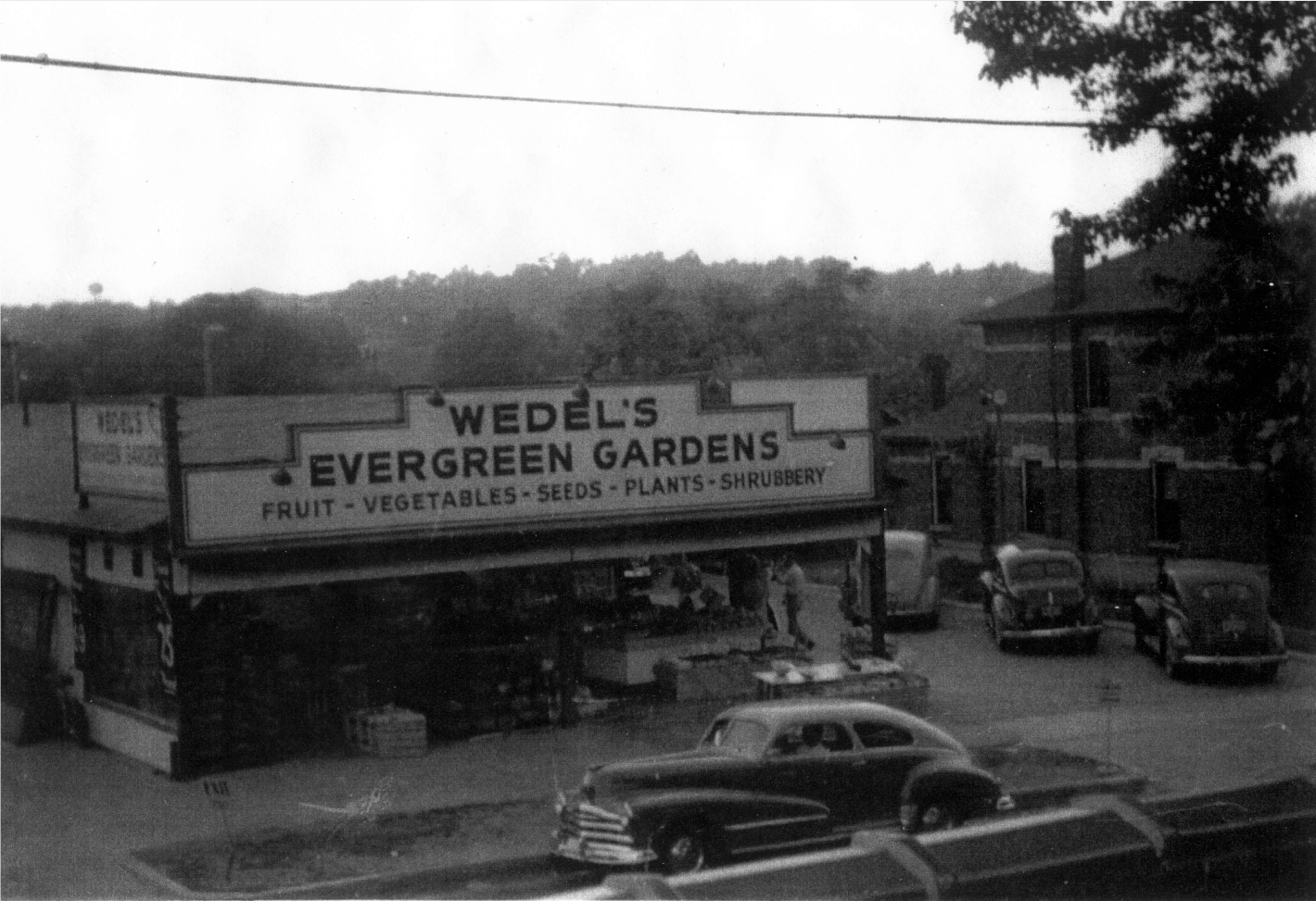 Wedel's | Nursery, Florist, & Garden Center Since 1946