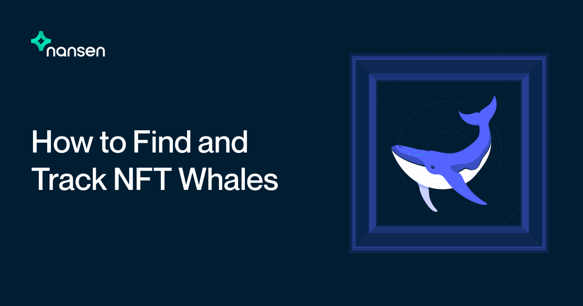 How to Find and Track NFT Whales