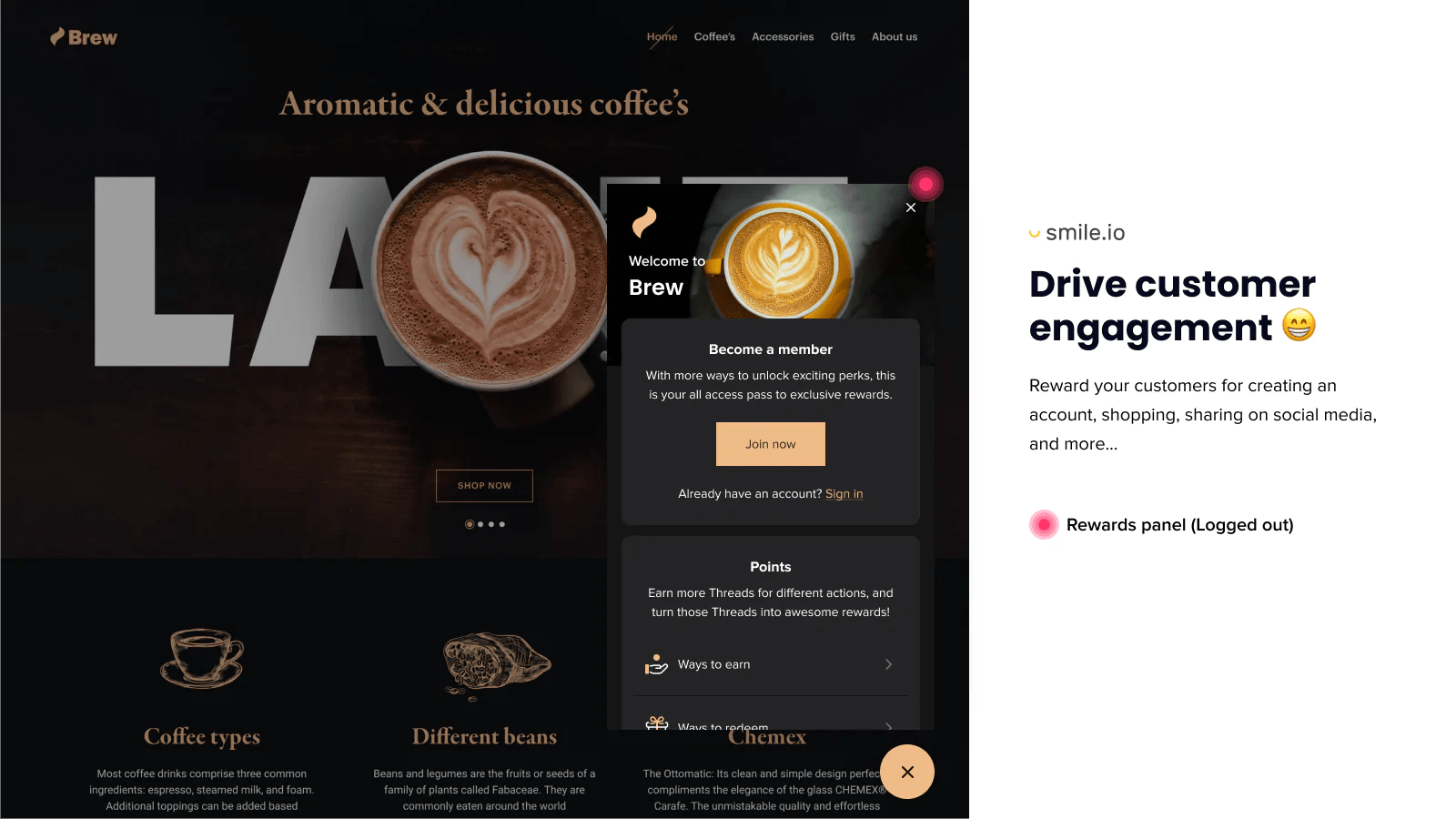Smile App for Shopify: Review, Pros & Cons