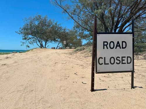 Revegetation Efforts Begin At East Point, Harbour Beach Coastal ...