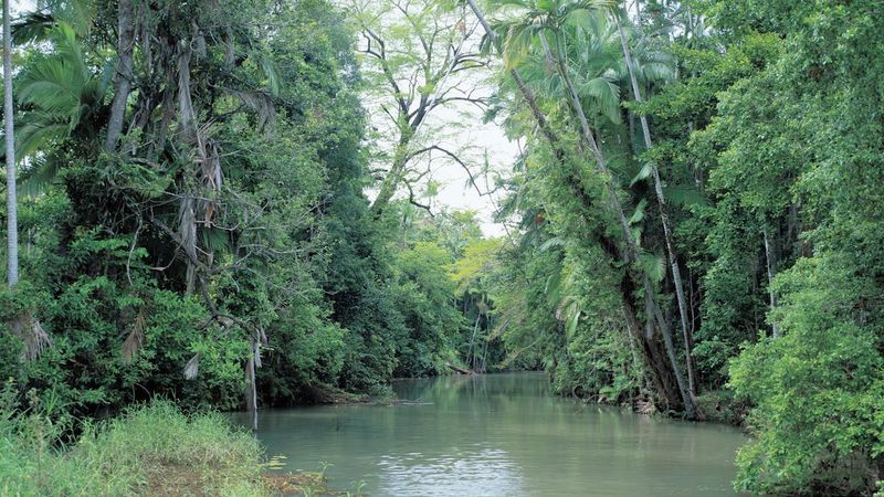 Conservation Council Questions Skyway Proposal - Mackay Whitsunday LIfe