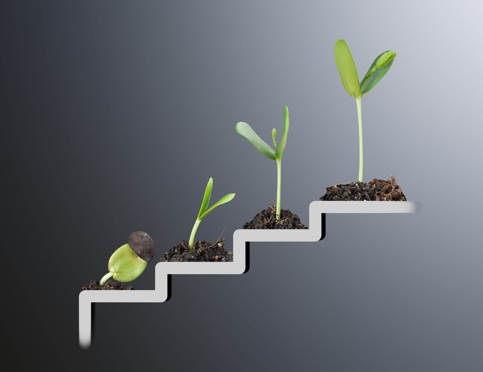 ABA SOAP Notes: Tips, Examples & Template | Artemis ABA