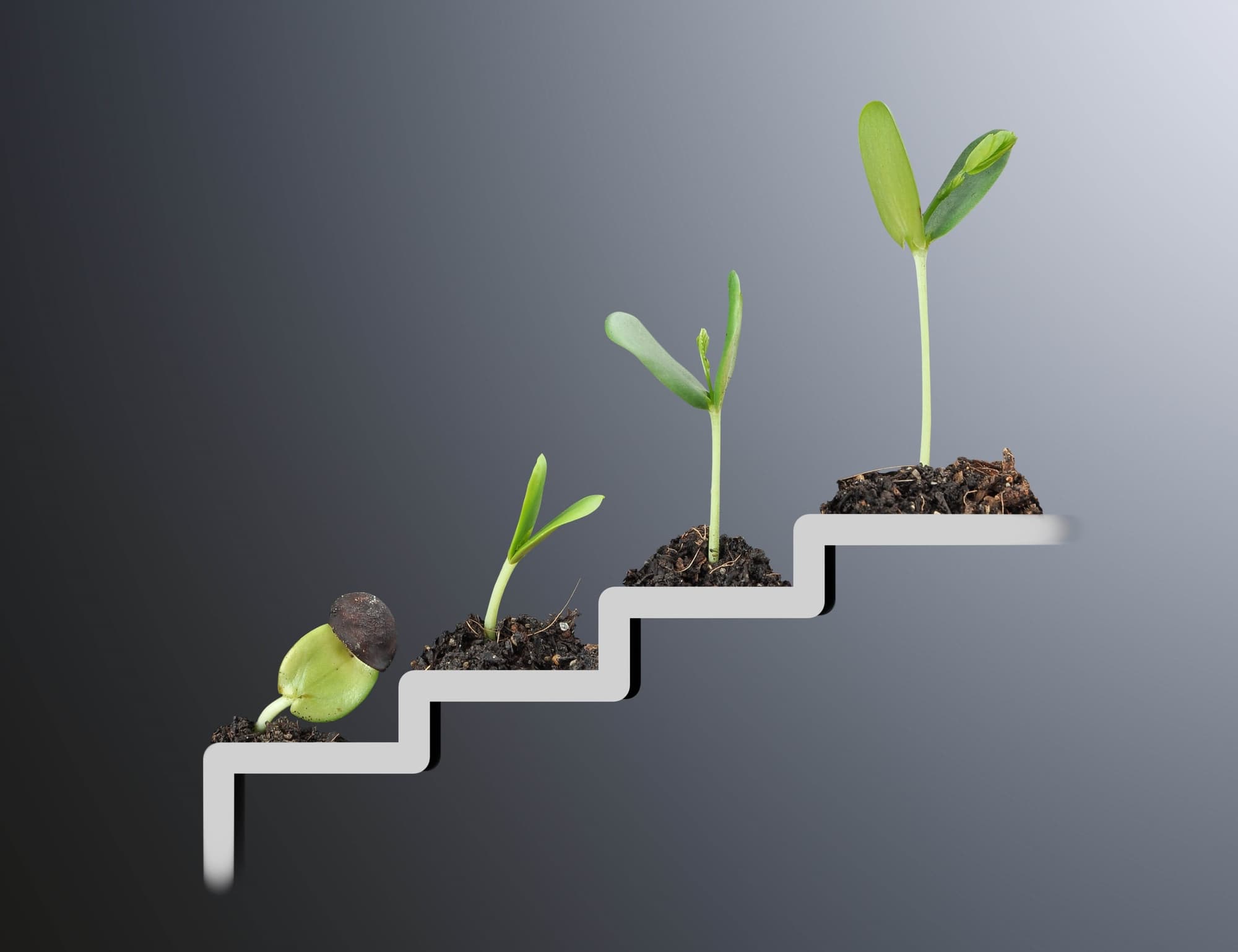 Free ABA Discrete Trial Training Data Sheets | Artemis ABA