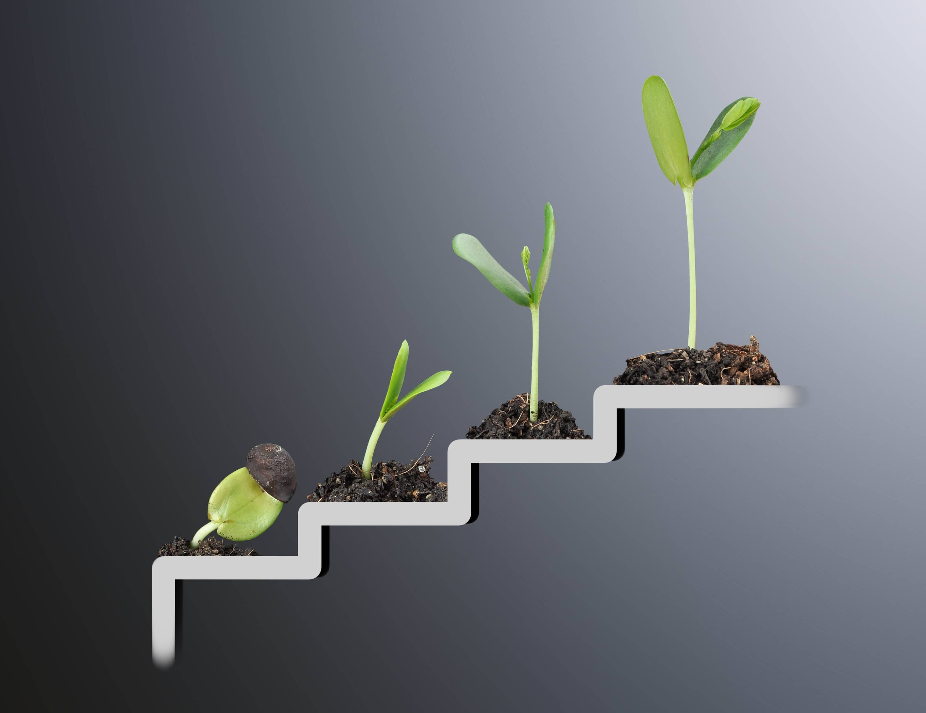 ABA Continuous Measurement: Types, Examples & Execution