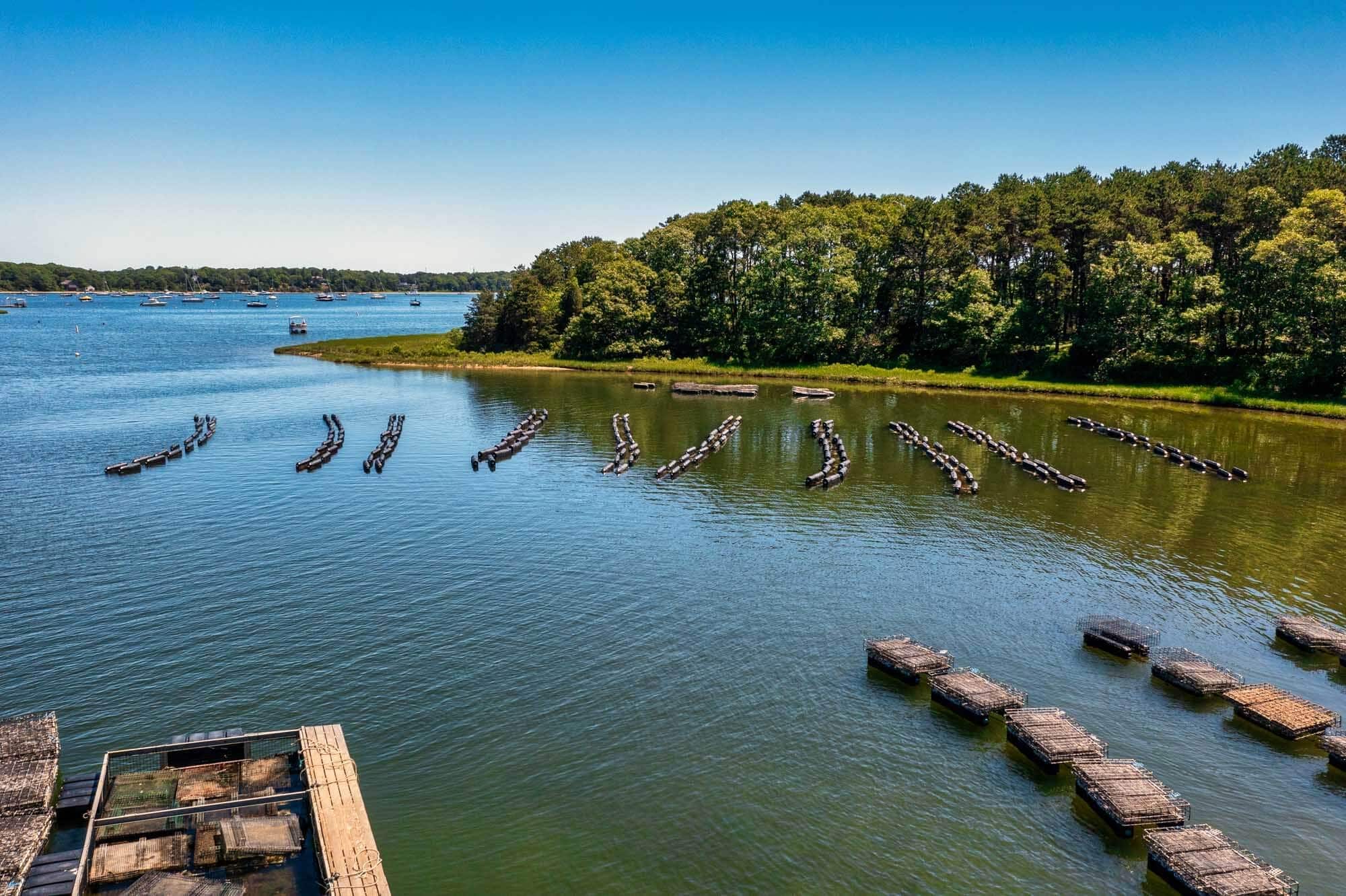 Our Brands | Cape Cod Oyster Company