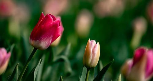 Barry Maps | Visit The Vale