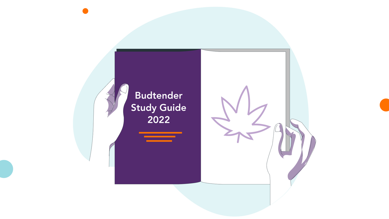 Budtender Study Guide (Everything You Should Know) 2022 - Unmudl