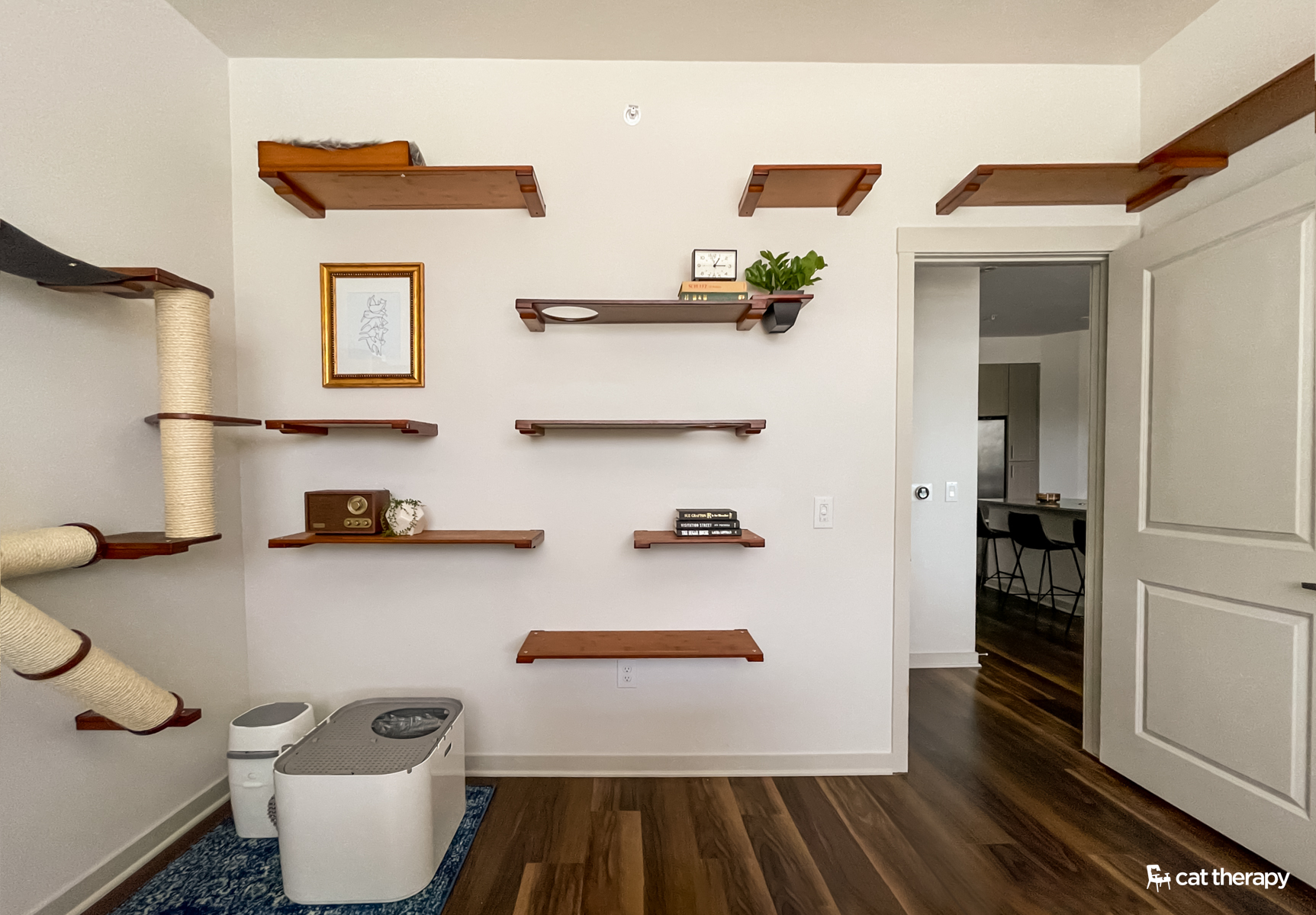 Cat Shelf Layout Design