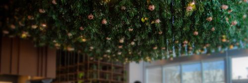 Vendors | Shoma Bazaar | Food Hall in Doral