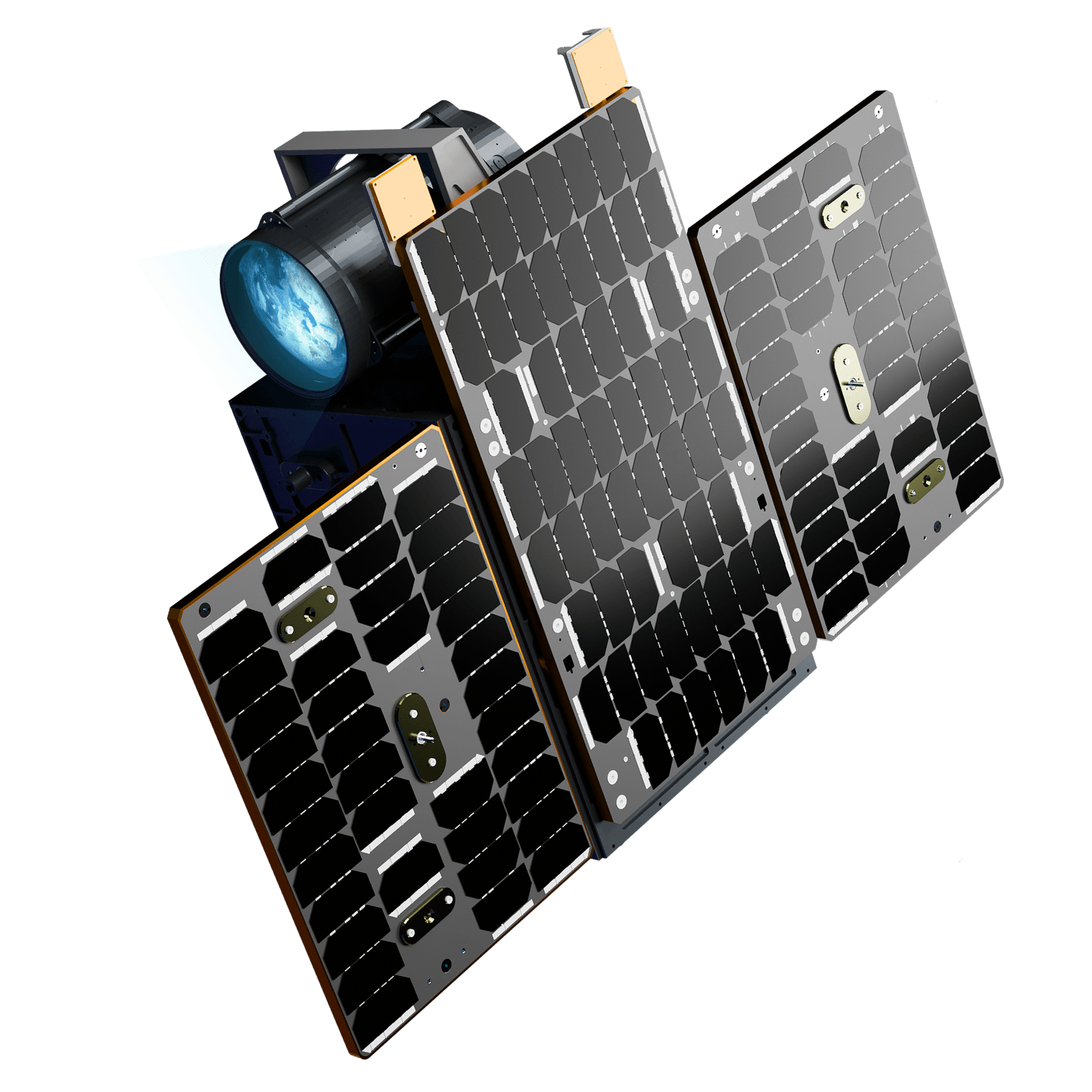 The Fireflies are here!