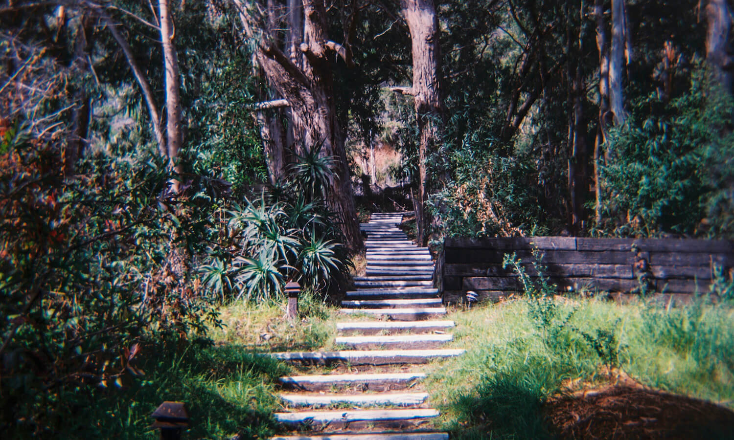 Esalen Institute | A Leading Center for Exploring Human Potential