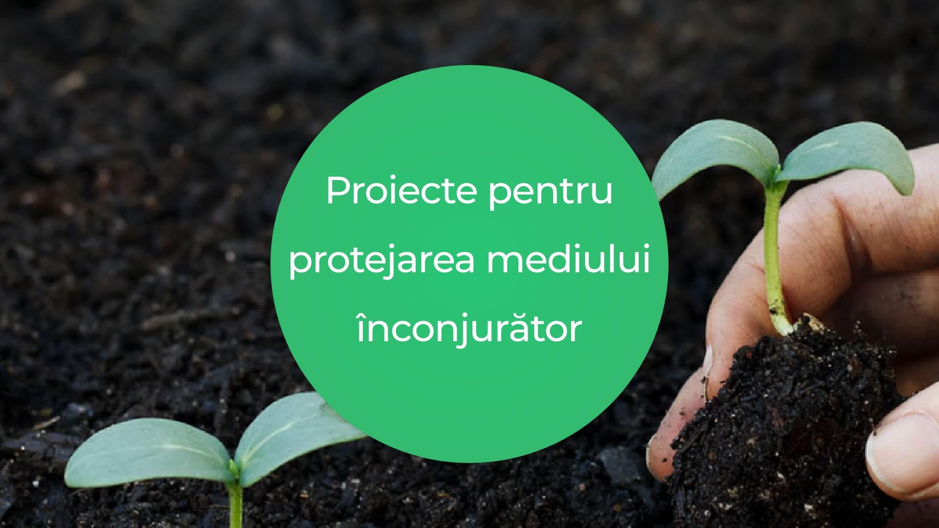 Proiecte pentru protejarea mediului înconjurător — Nature Talks