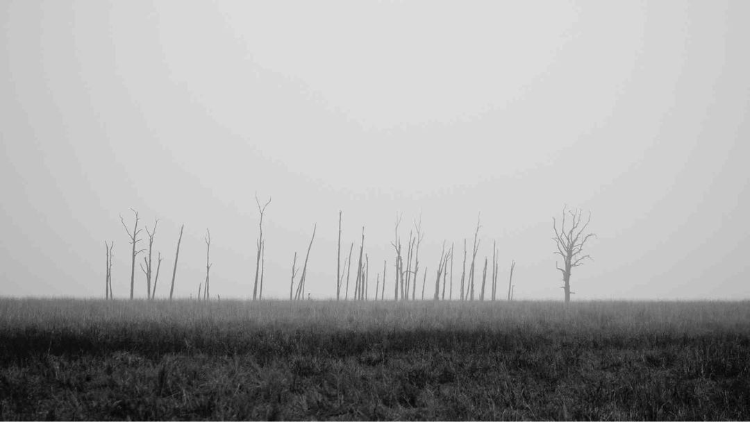 The Wounded Human Spirit