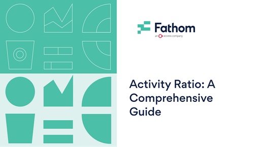 Activity Ratio: A Comprehensive Guide