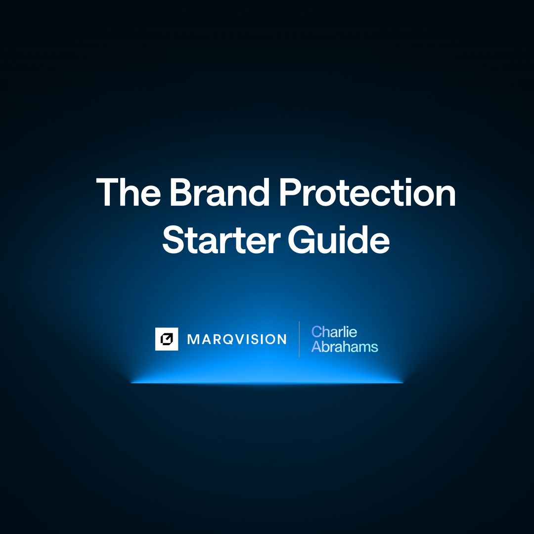 Blog | Step-by-Step Brand Protection Guide for Beginners